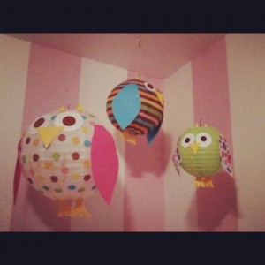 Owl Display - TeachingCave.com - TeachingCave.com